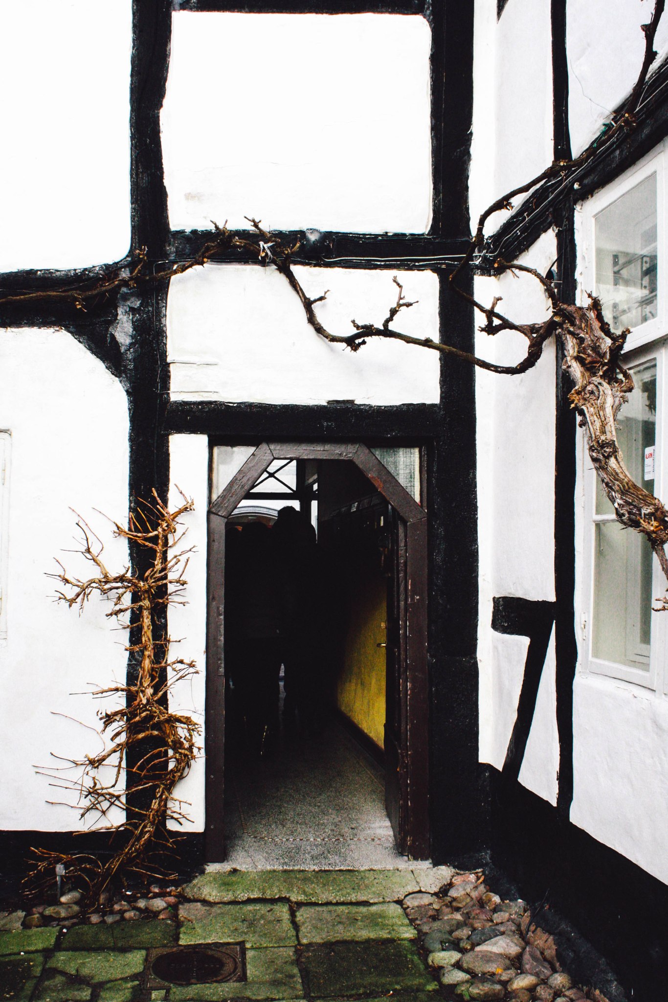 A Guide to Denmark’s (Other) Historical Cities – Kat Beyond Borders