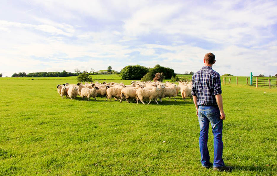 Ireland – Kat Beyond Borders