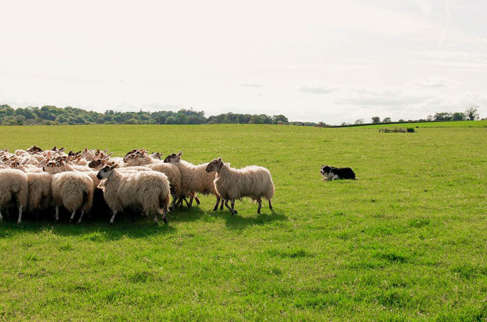 Ireland – Kat Beyond Borders