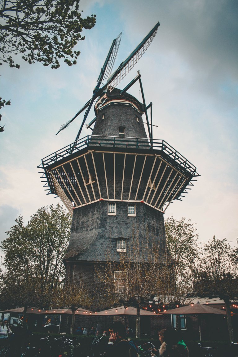 Netherlands – Kat Beyond Borders