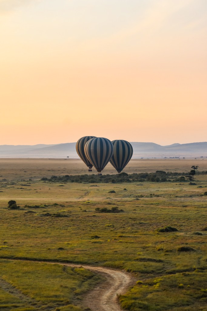Kenya – Kat Beyond Borders