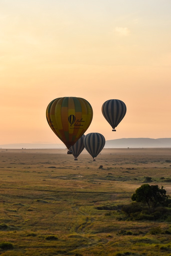 Kenya – Kat Beyond Borders