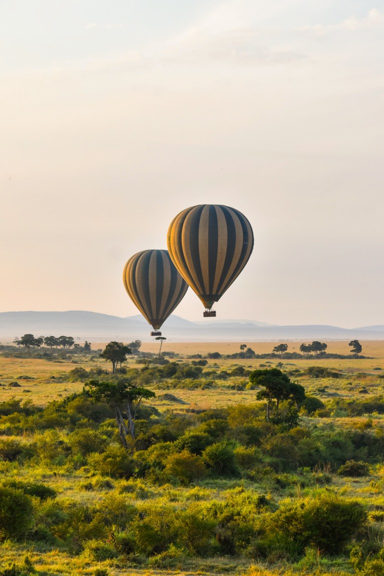 Kenya – Kat Beyond Borders