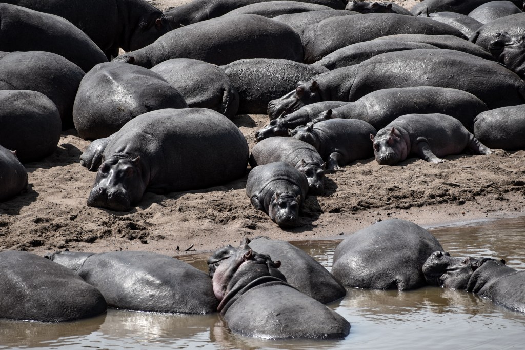 Kenya – Kat Beyond Borders